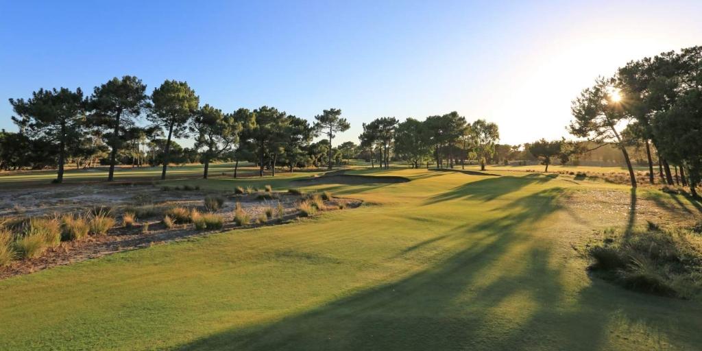 Australian and International Golf Tours